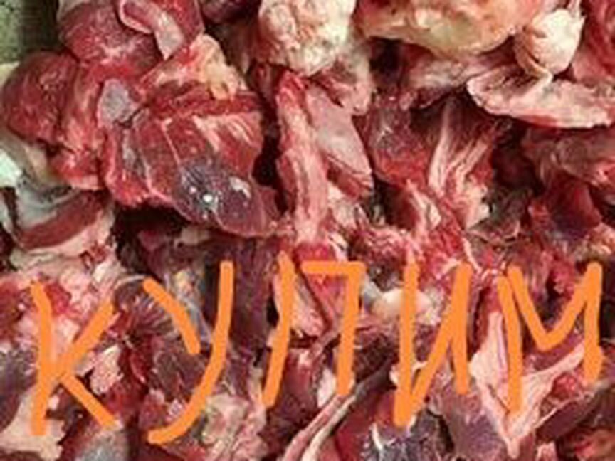 Мясо для собак