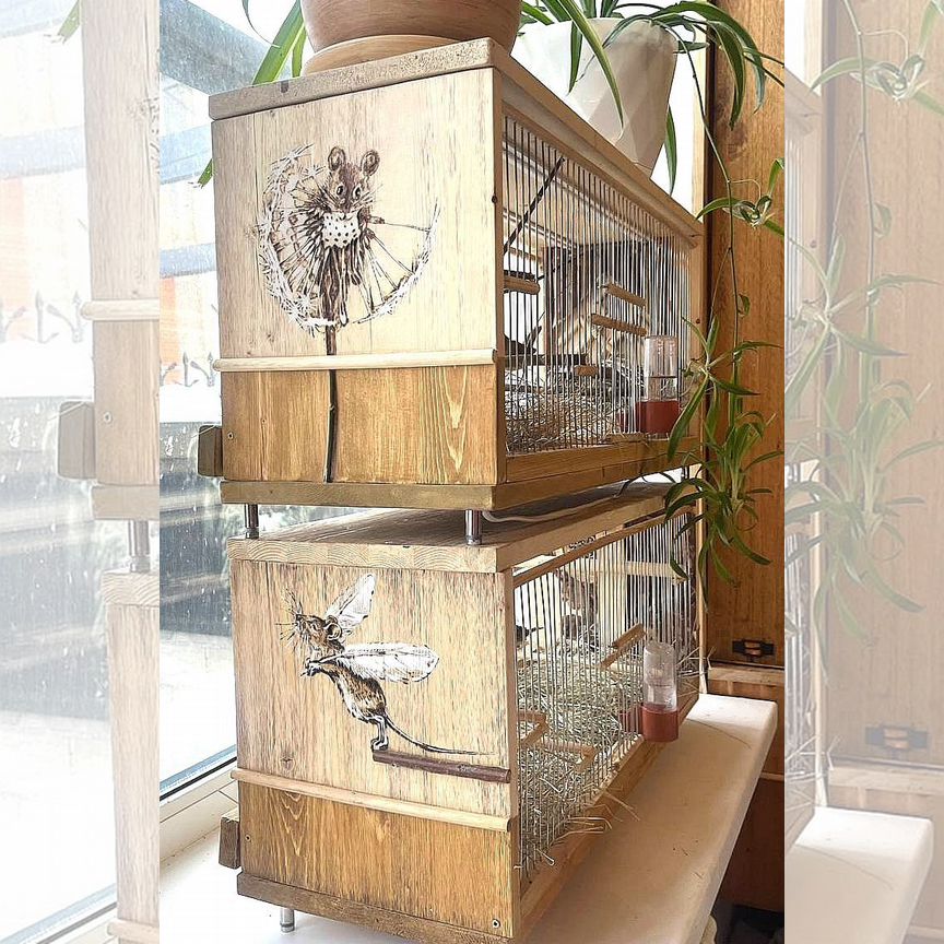 Клетки для певчих птиц