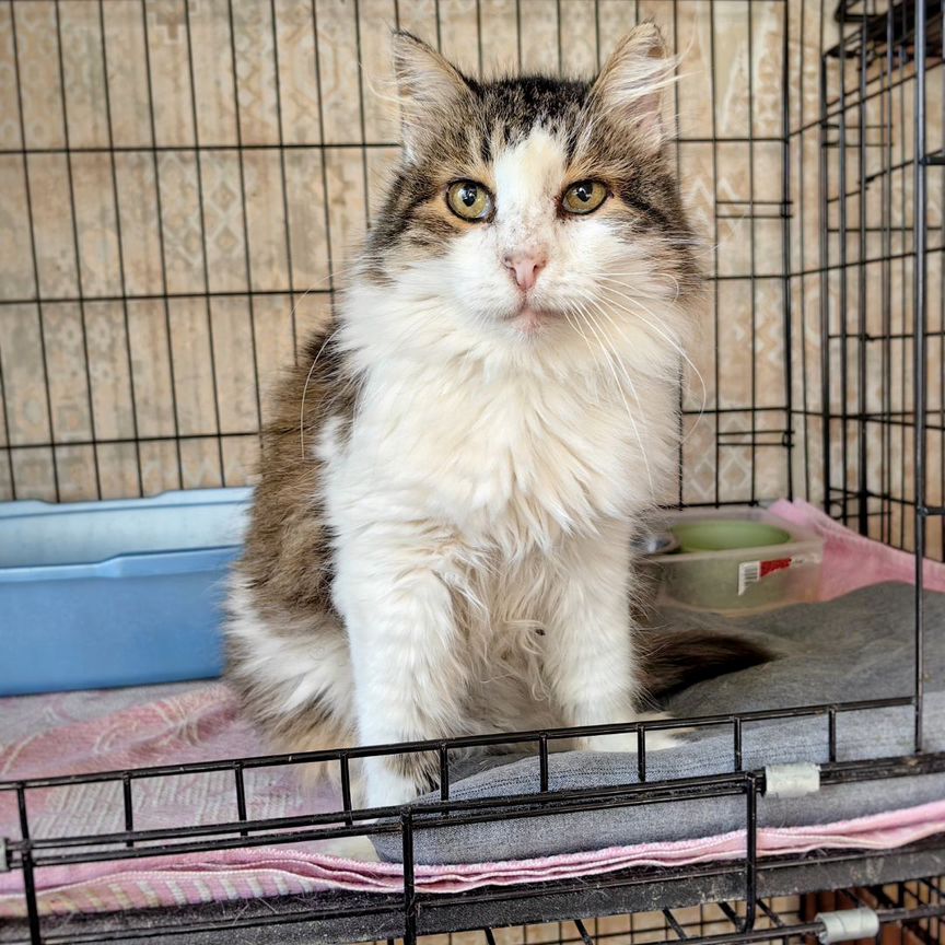 Он никогда не жил дома