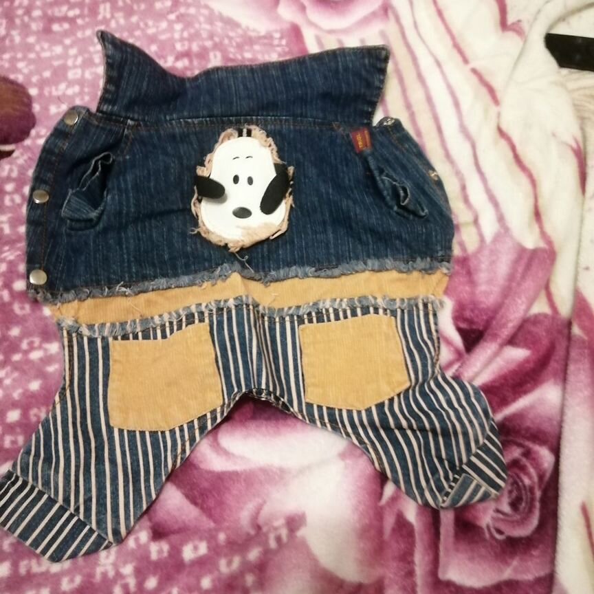 Вещи для маленьких собачек