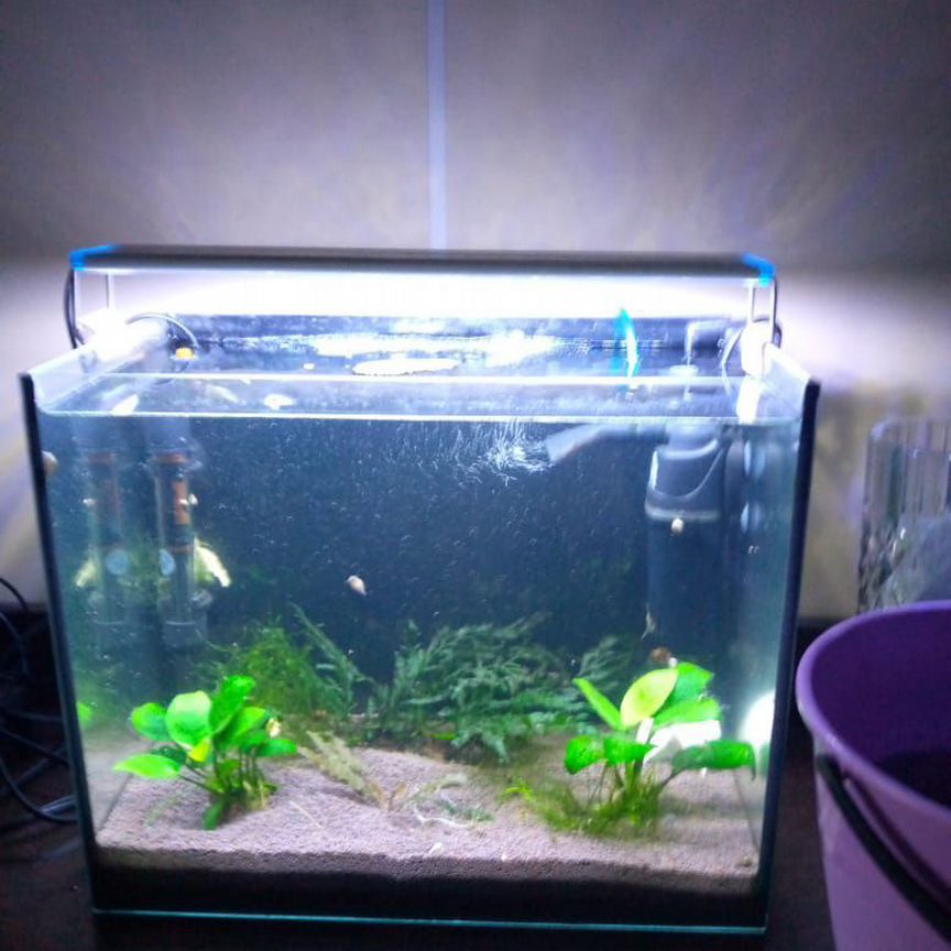Аквариум бу,20литров
