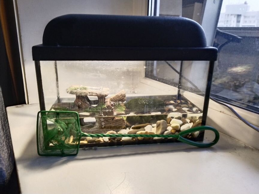 Аквариум 5 литров