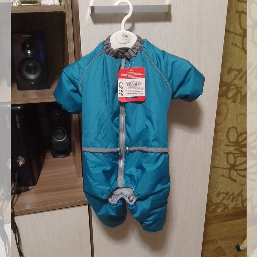 Джек-рассел-терьер, взрослый пёс