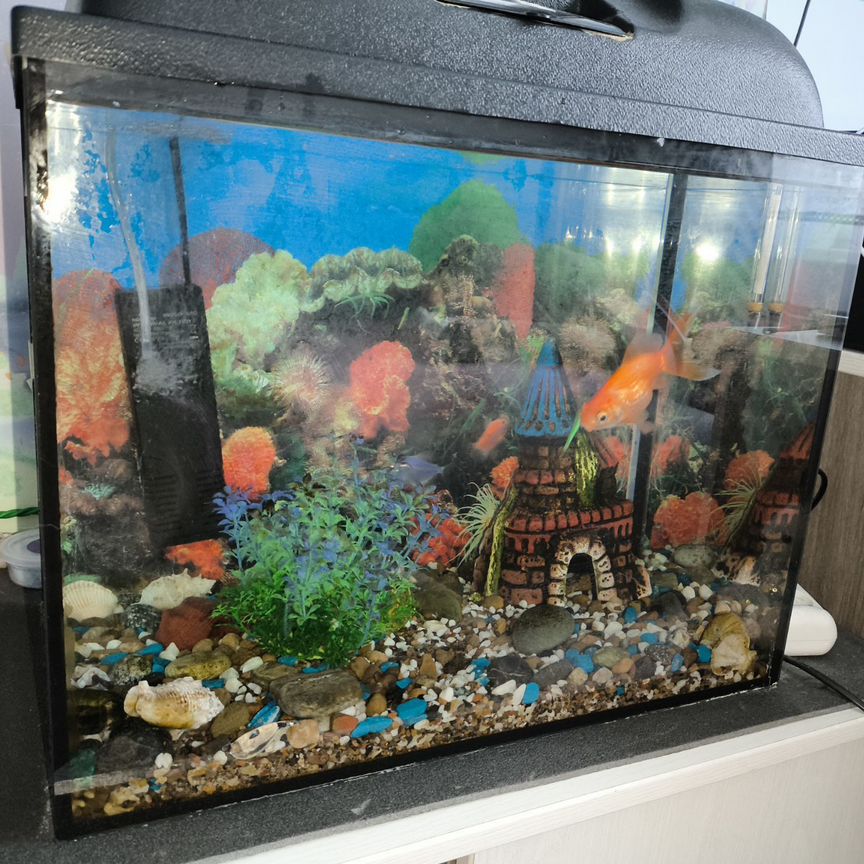 Продам аквариум с рыбками