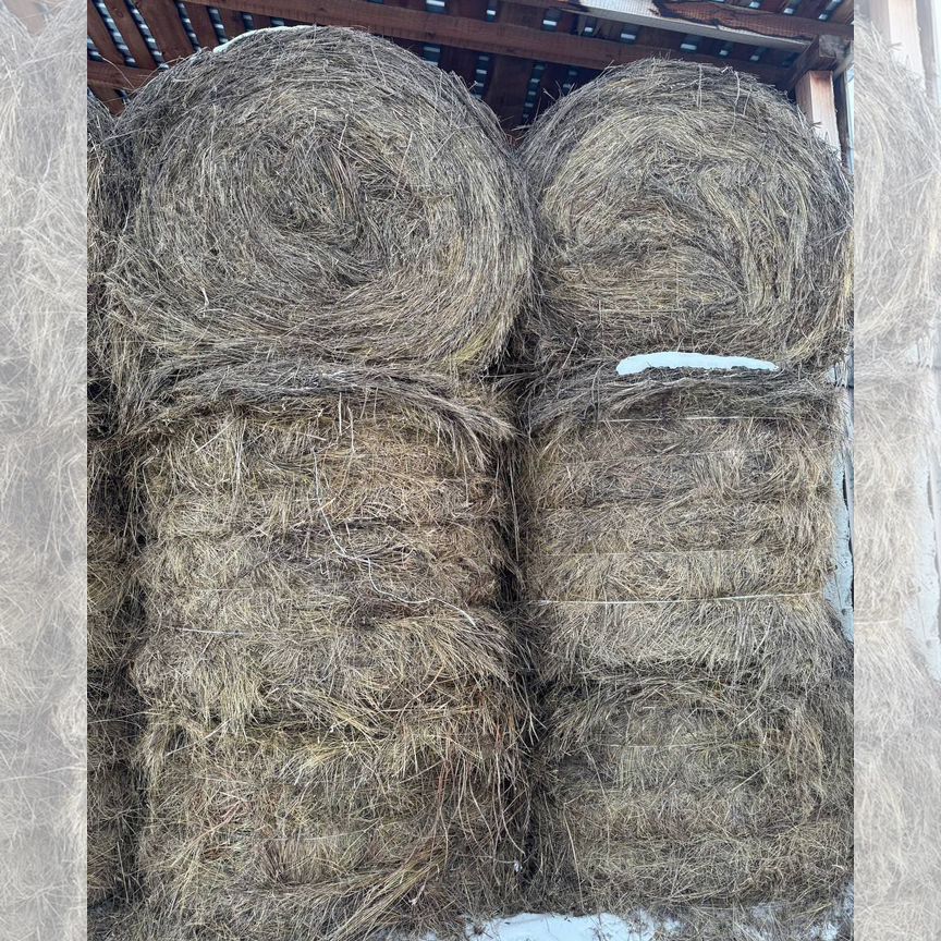 Сено в рулонах