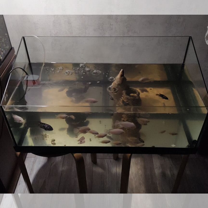 Аквариум -терариум