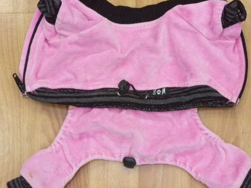 Одежда для собак мелких пород