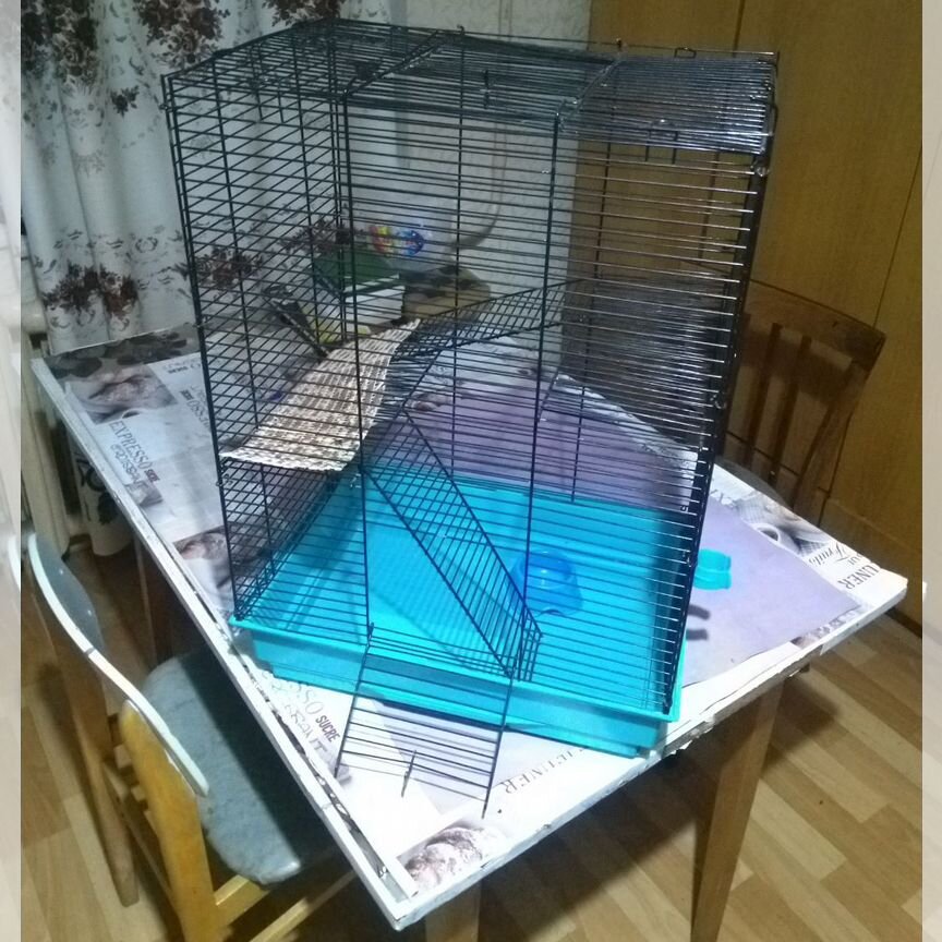 Клетка,переноска и аксессуары для грызунов