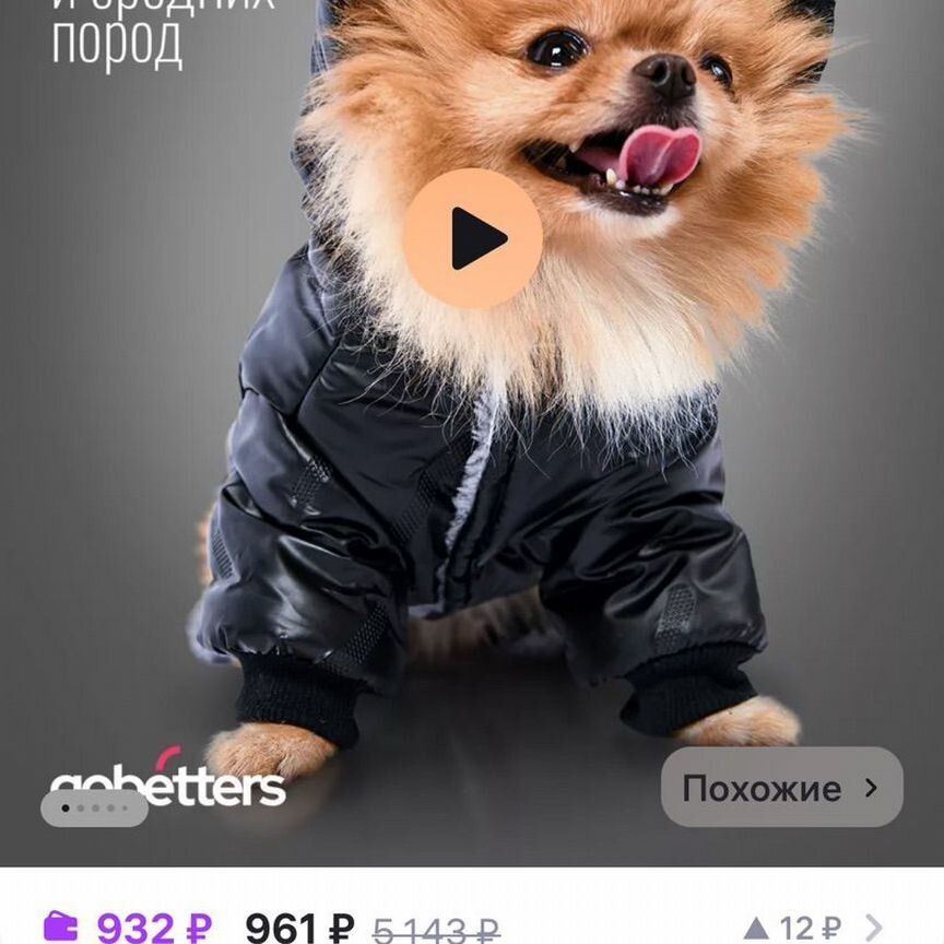 Комбинезон для собаки мальчика, утепленный