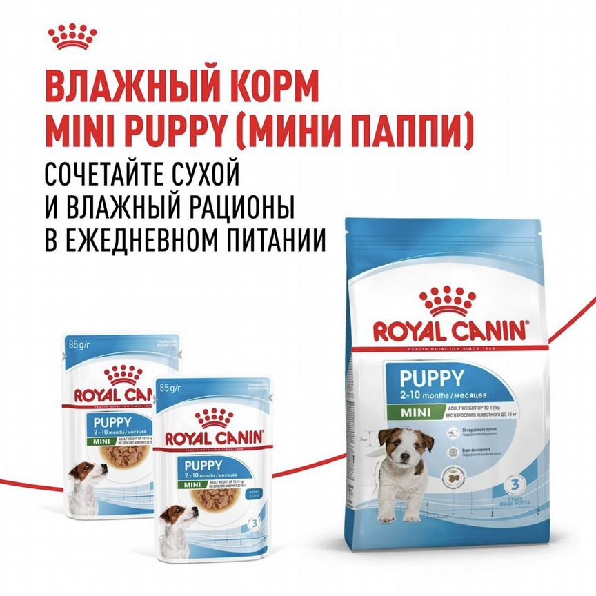 Корма Royal Canin Puppy и Starter