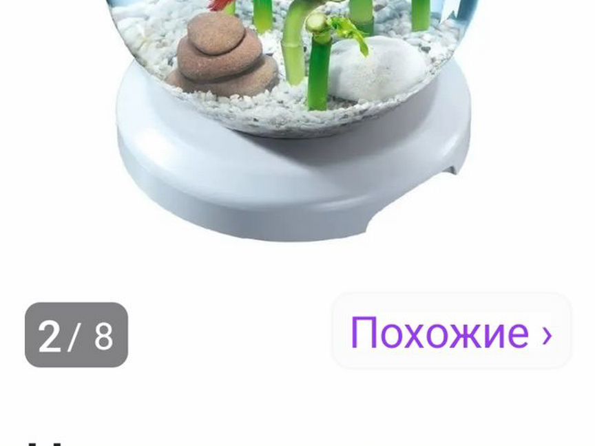 Аквариум