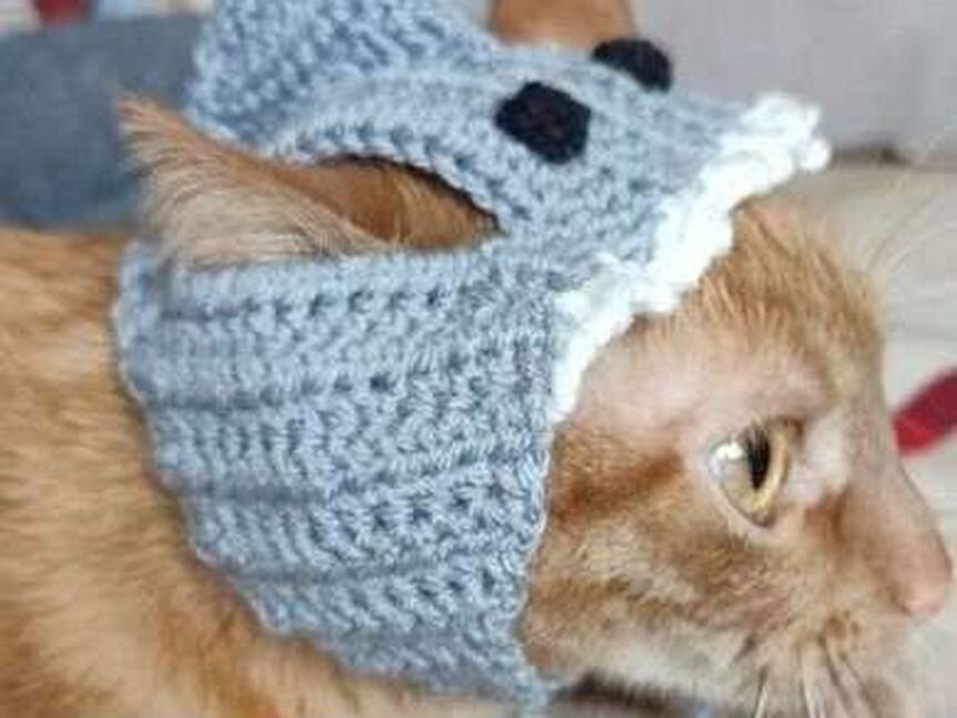 Шапочка вязаная для кота Акула