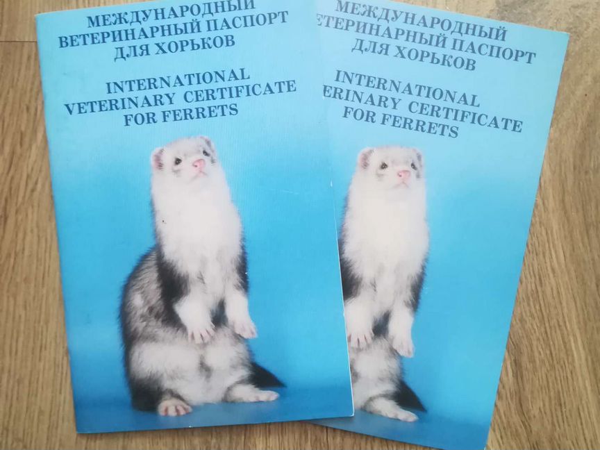 Международный ветеринарный паспорт хорька/фретки