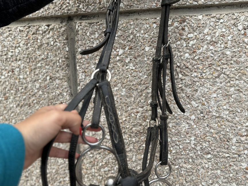 Уздечка с мартингалам