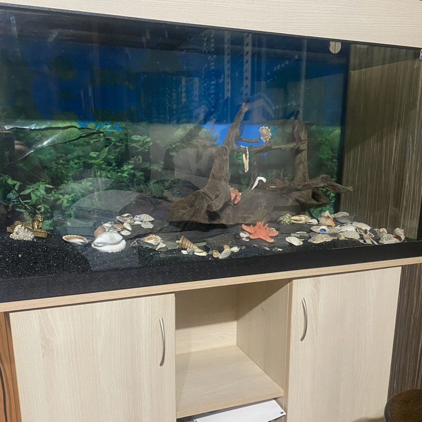 Аквариум с тумбой с подсветкой три режима грунт