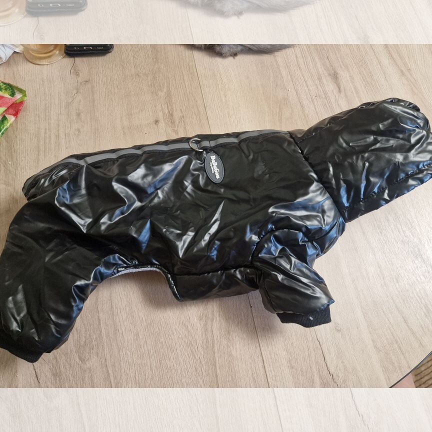 Одежда для собак