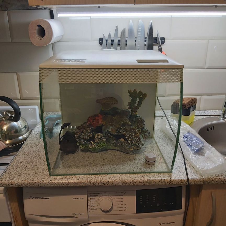 Аквариум Fluval панорамный на 60 литров