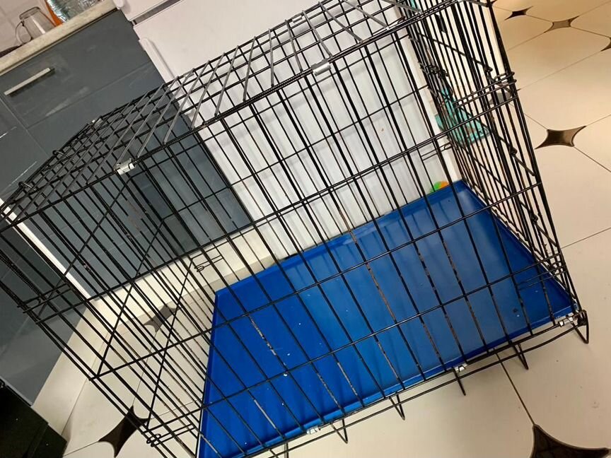 Железная клетка для домашнего животного