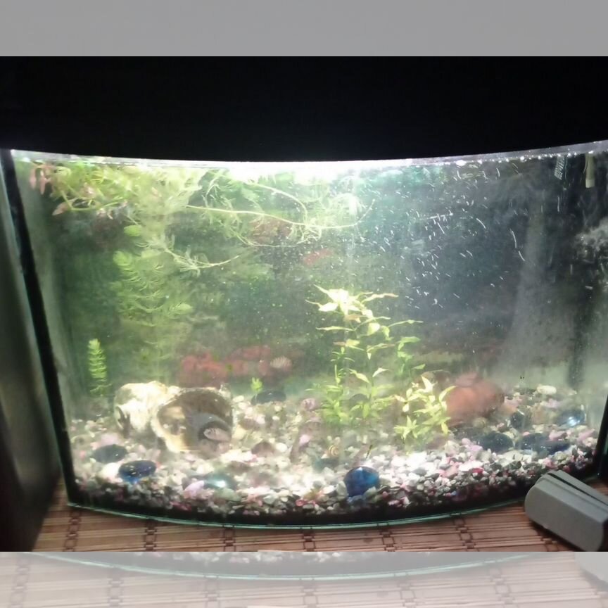 Отдам аквариум