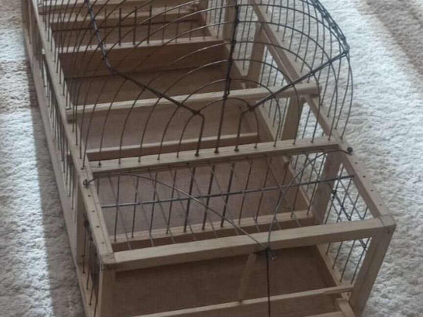 Ловушка для птиц западок