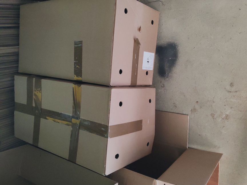 Инкубационное яйцо бройлера кобб 500