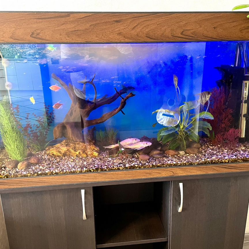 Аквариум с тумбой 200л