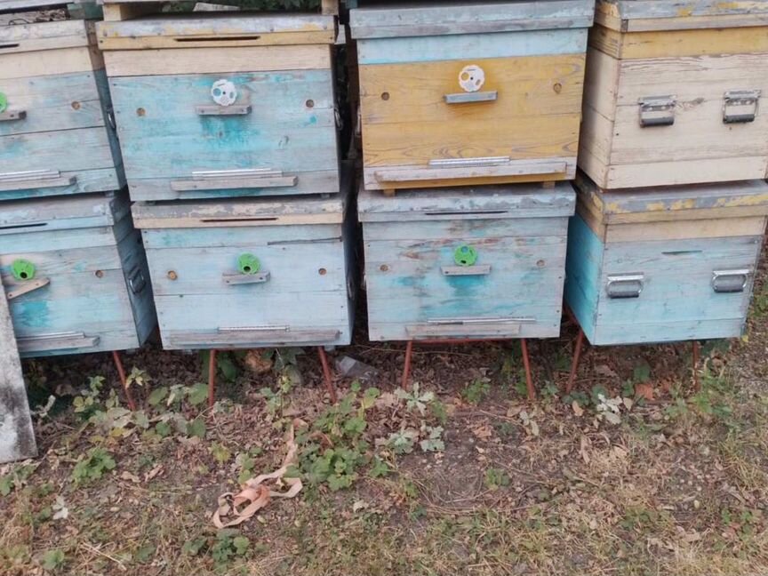 Улики для пчел