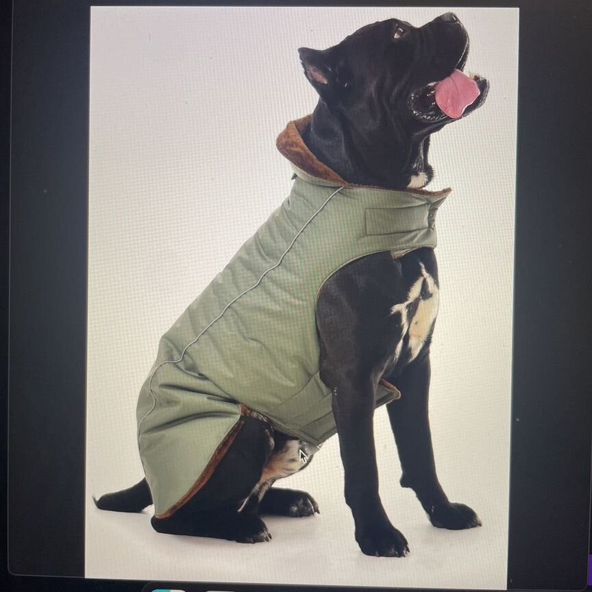 Новая попона для собаки средних размеров