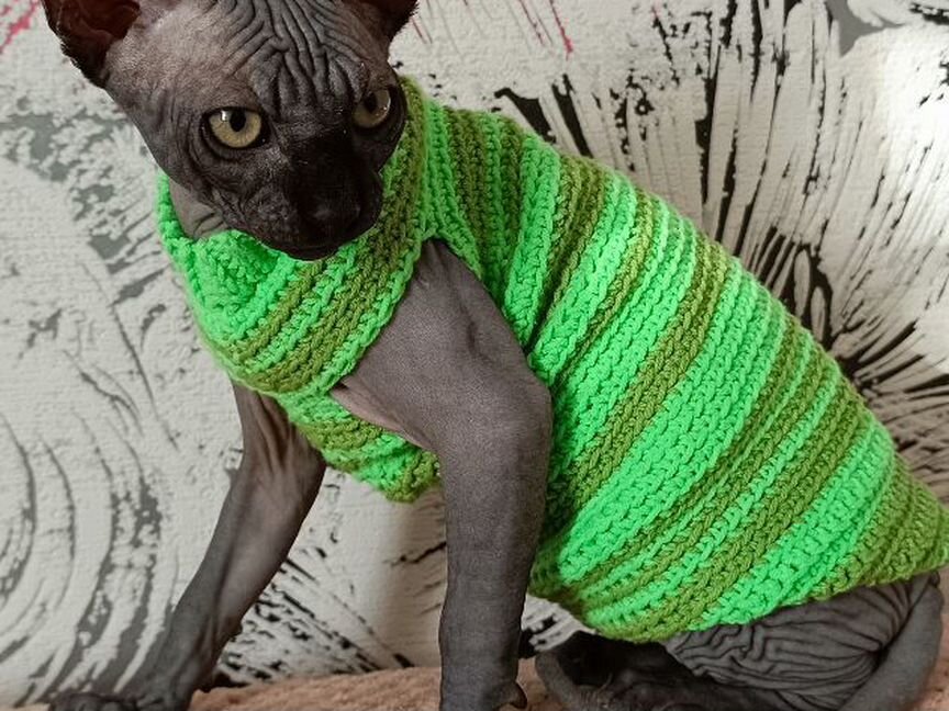 Одежда для кошек