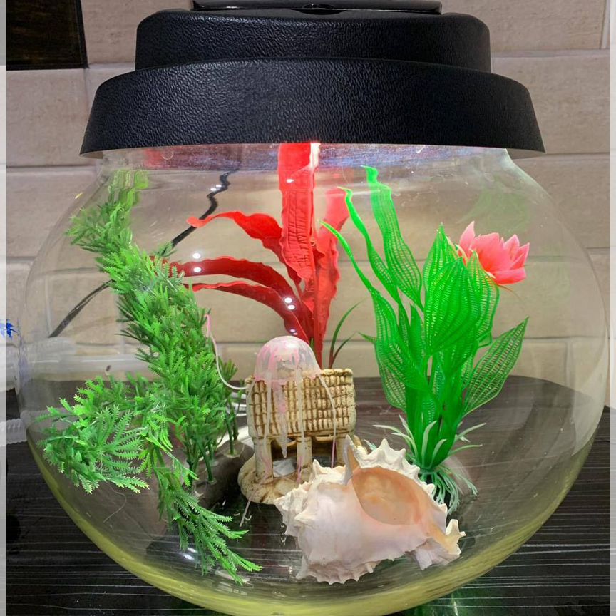 Круглый аквариум Aquael Bowlset II 30