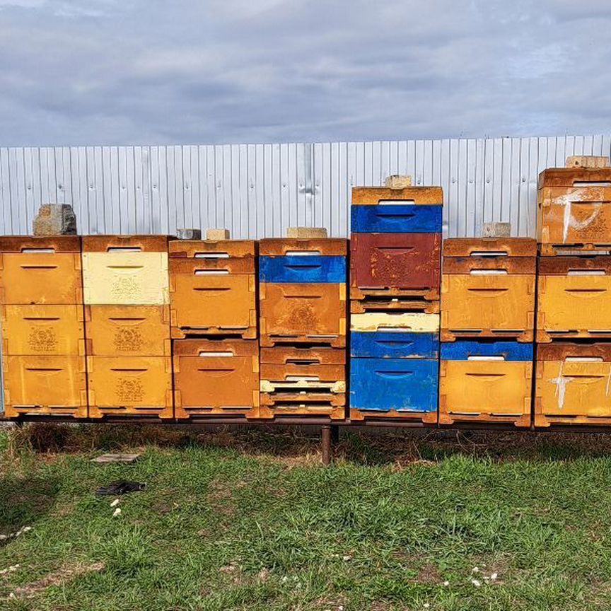 Продам ульи ППУ, сушь