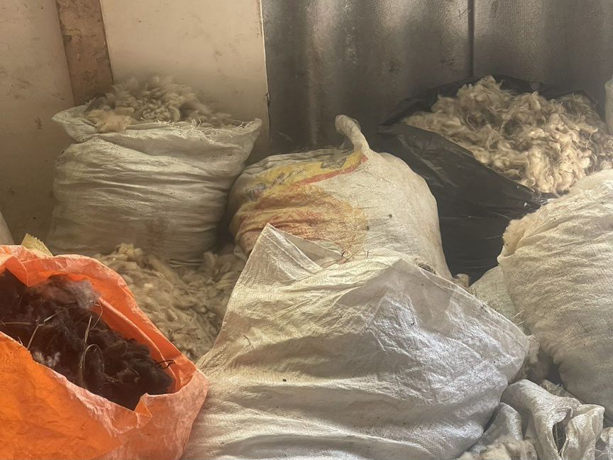 Шерсть овечья мереноса,северокавказкой текселя