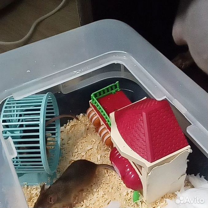 Продам 2 декоративные мышки