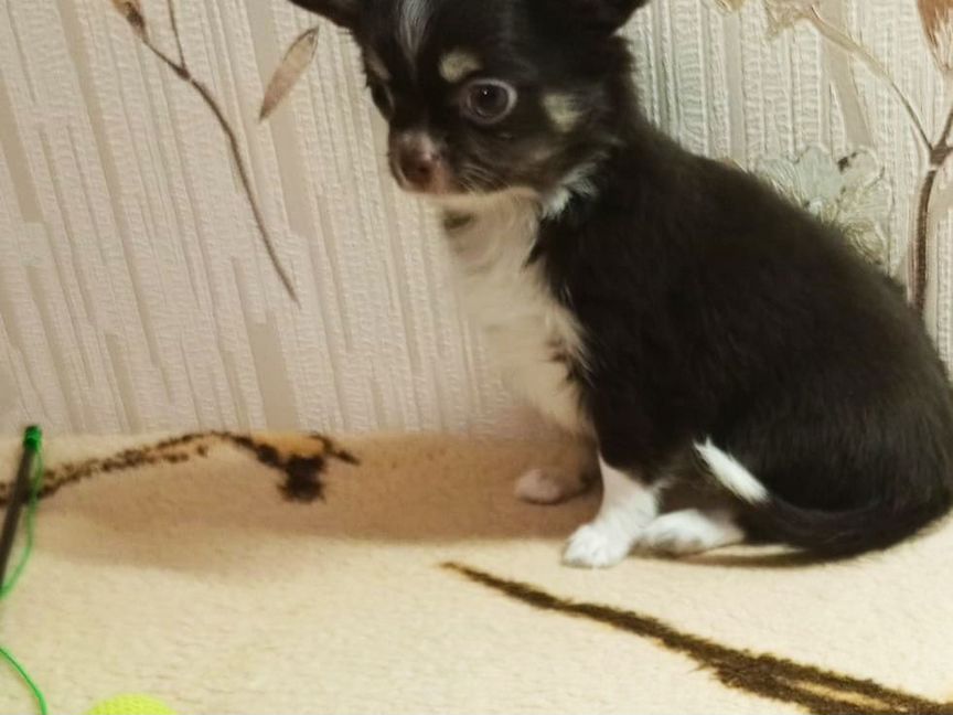 Сказочный малыш