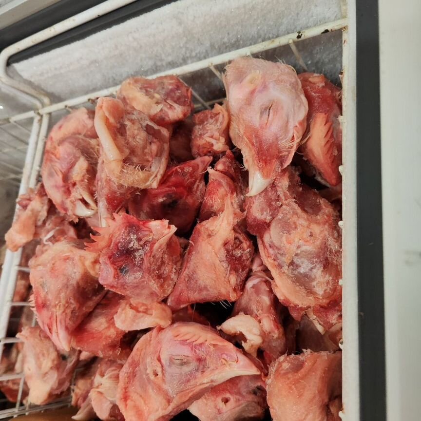 Головы куринные для собак
