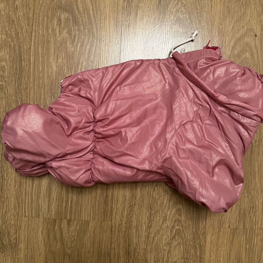 Одежда для собак