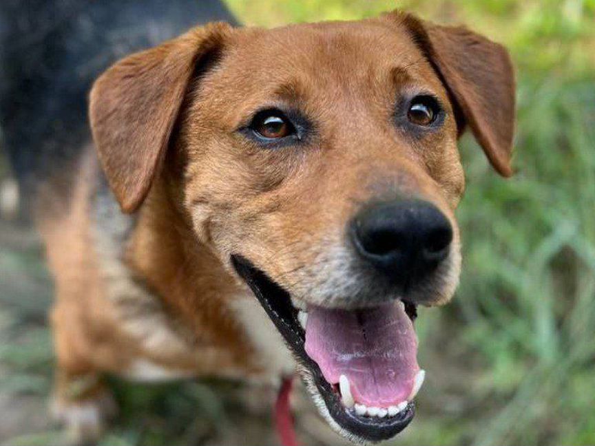 Красавчик Билли