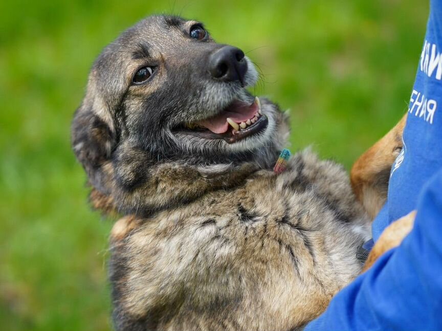 Нежная Агата ждёт Вас