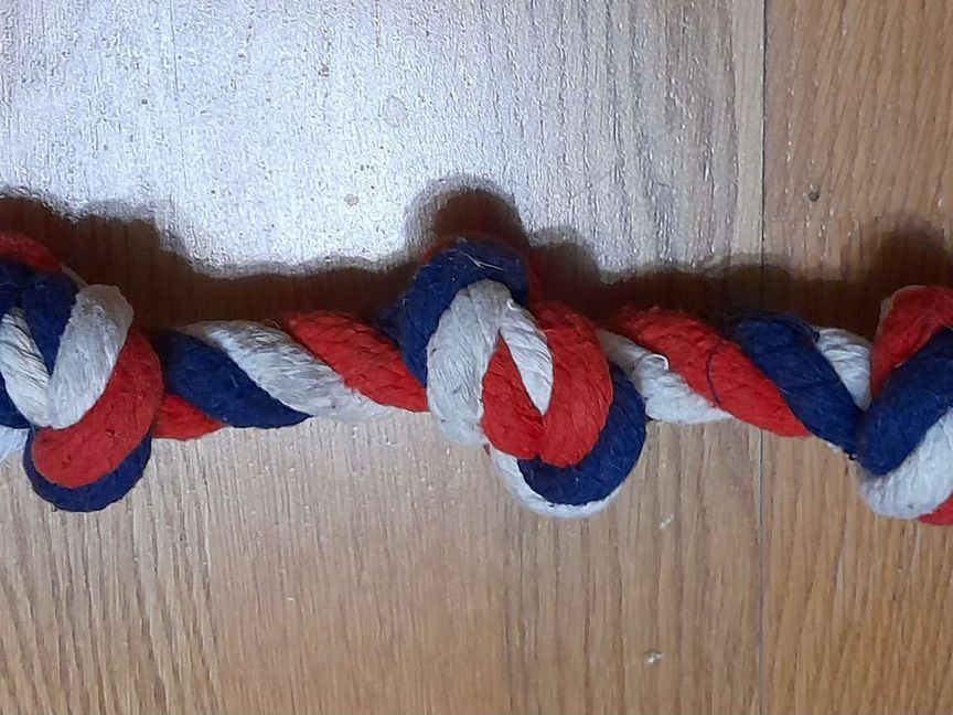 Канат для собаки