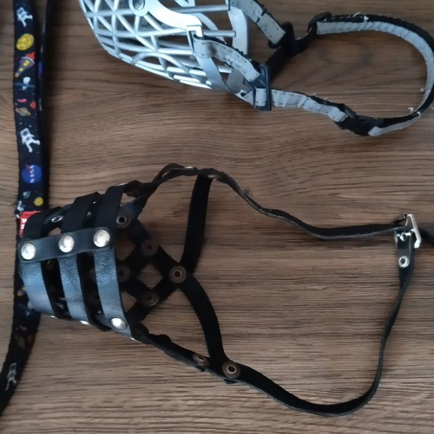 Намордники на Спаниель