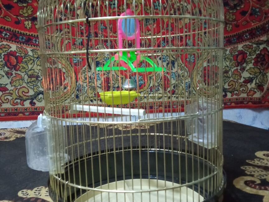 Клетка для попугая