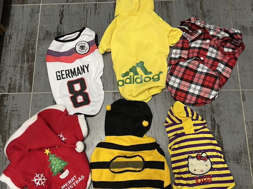 Одежда для собак кошек