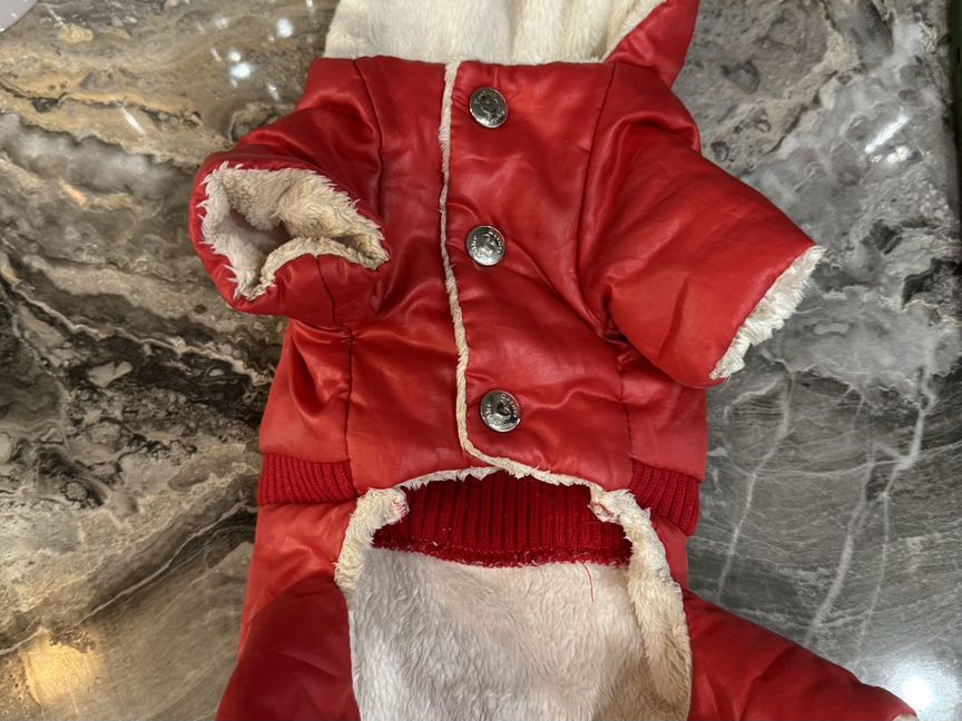 Курточка для мини собачек или кошек