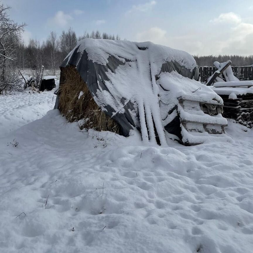 Сено в рулонах