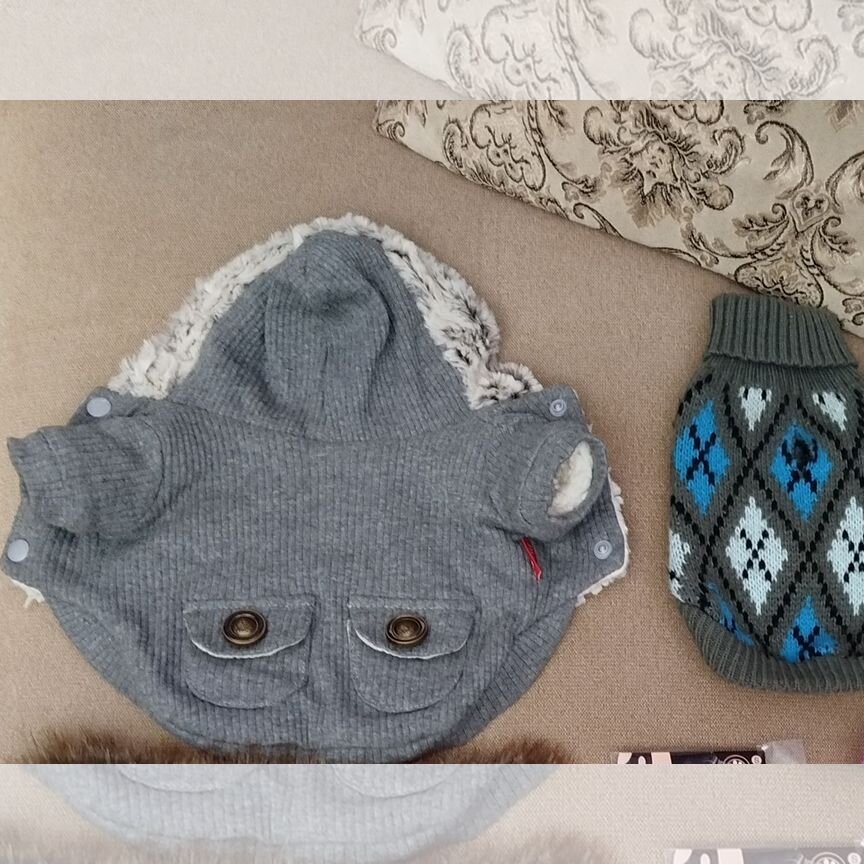 Одежда для маленьких собак xs