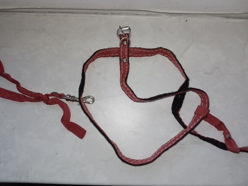 Шлейка Уздечка