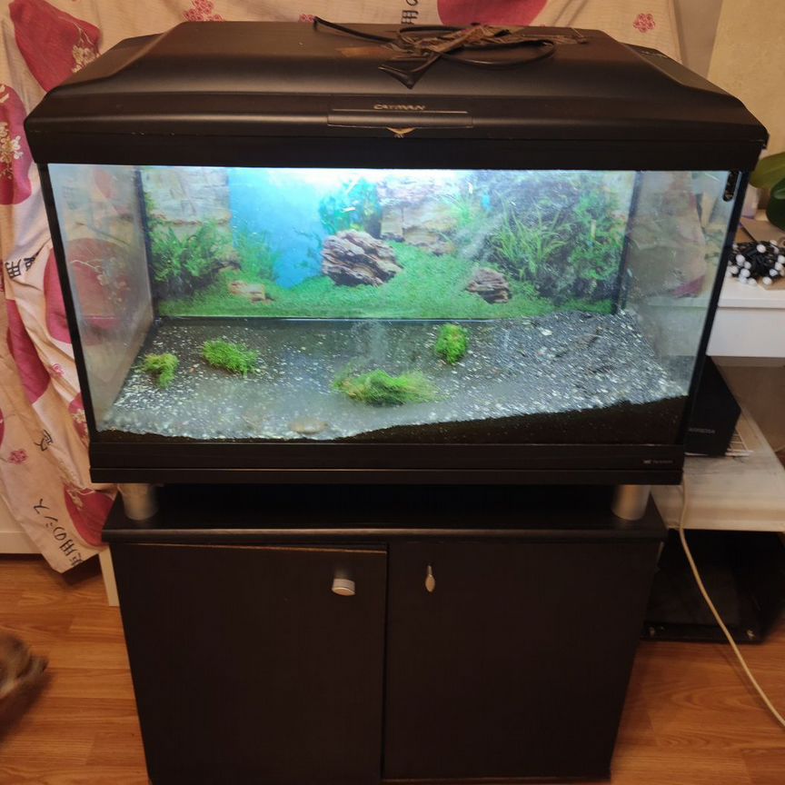 Аквариум с тумбой Ferplast cayman 80 professional