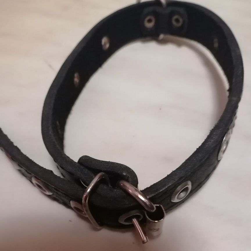 Ошейник  миска