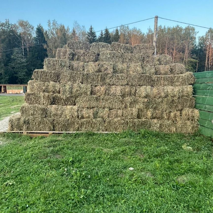 Сено в брикетах