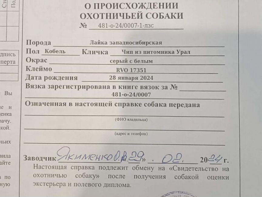 Щенки лзс зверовых линий